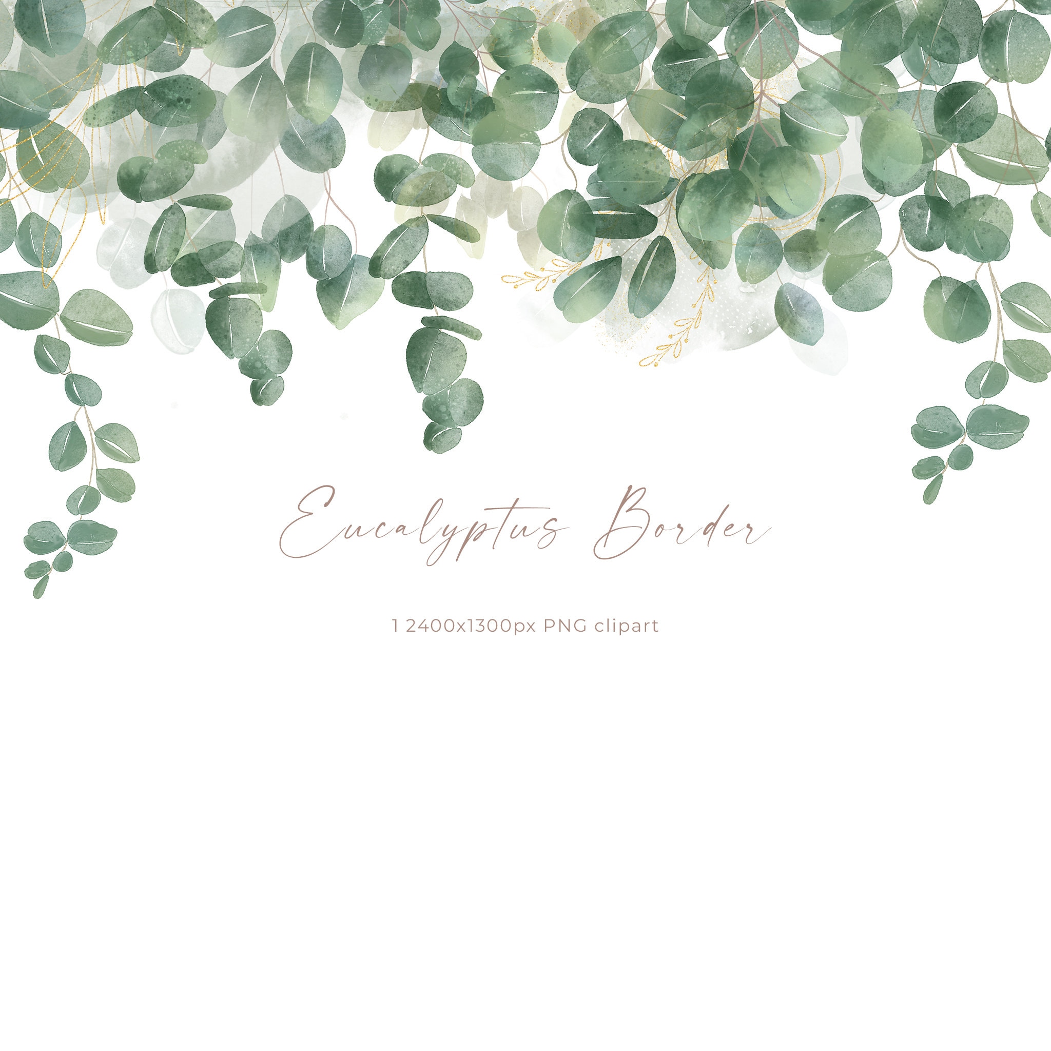 Eucalyptus Watercolor Border Floral Border Greenery Foliage - Etsy Ireland