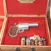 Roger Rabbit Pistol With Bullets and Case - Etsy