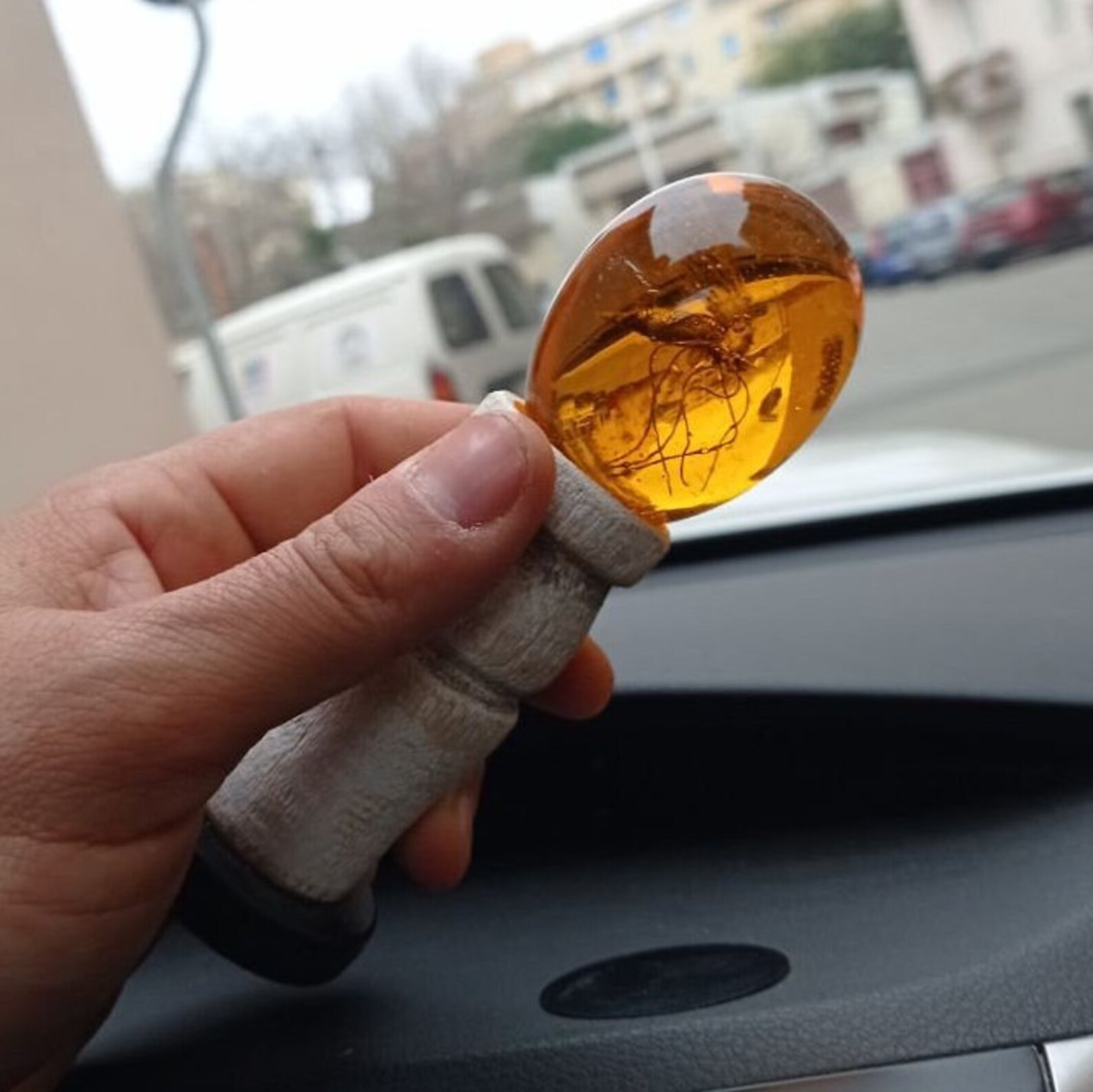 For the Car John Hammond Small Cane With Insect in Amber - Etsy