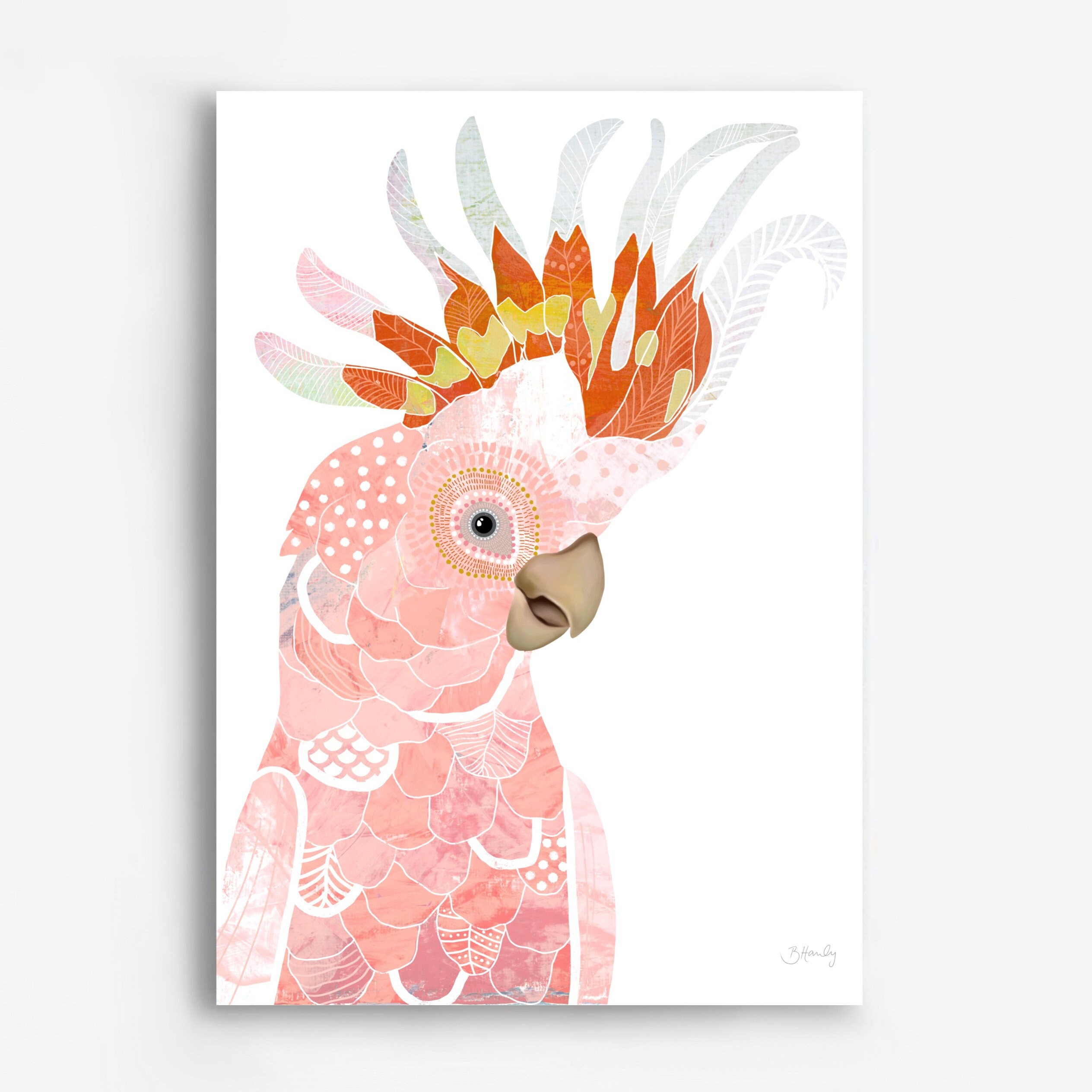 Australian Native Bird Print Set of 3colourful Bird Decor - Etsy Australia