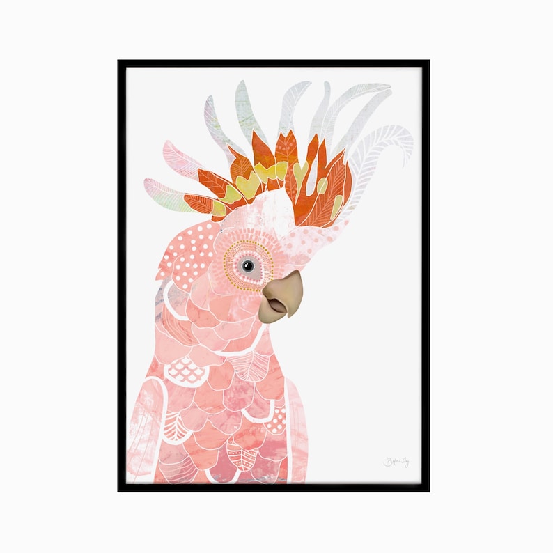 Major Mitchell Print, Bird Print, Cockatoo, Parrot Art, Cockatoo ...