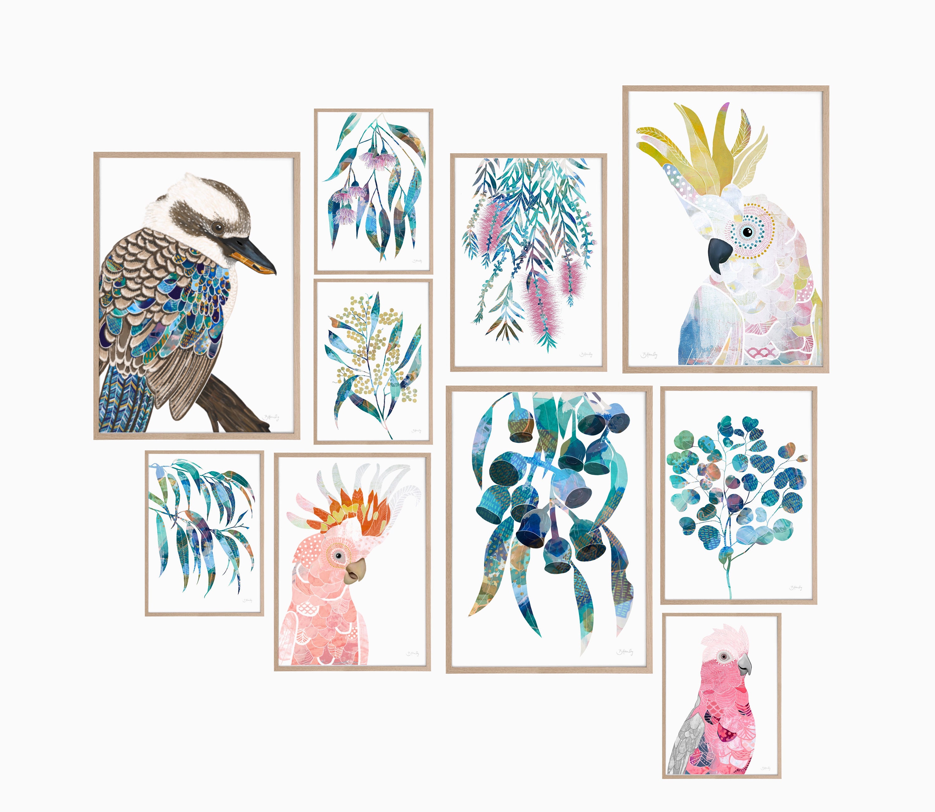 Native Australian Birds