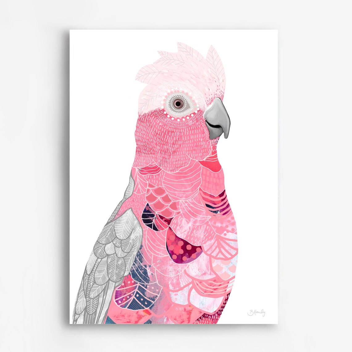 Galah Print Parrot Wall Art Galah Painting Australian - Etsy