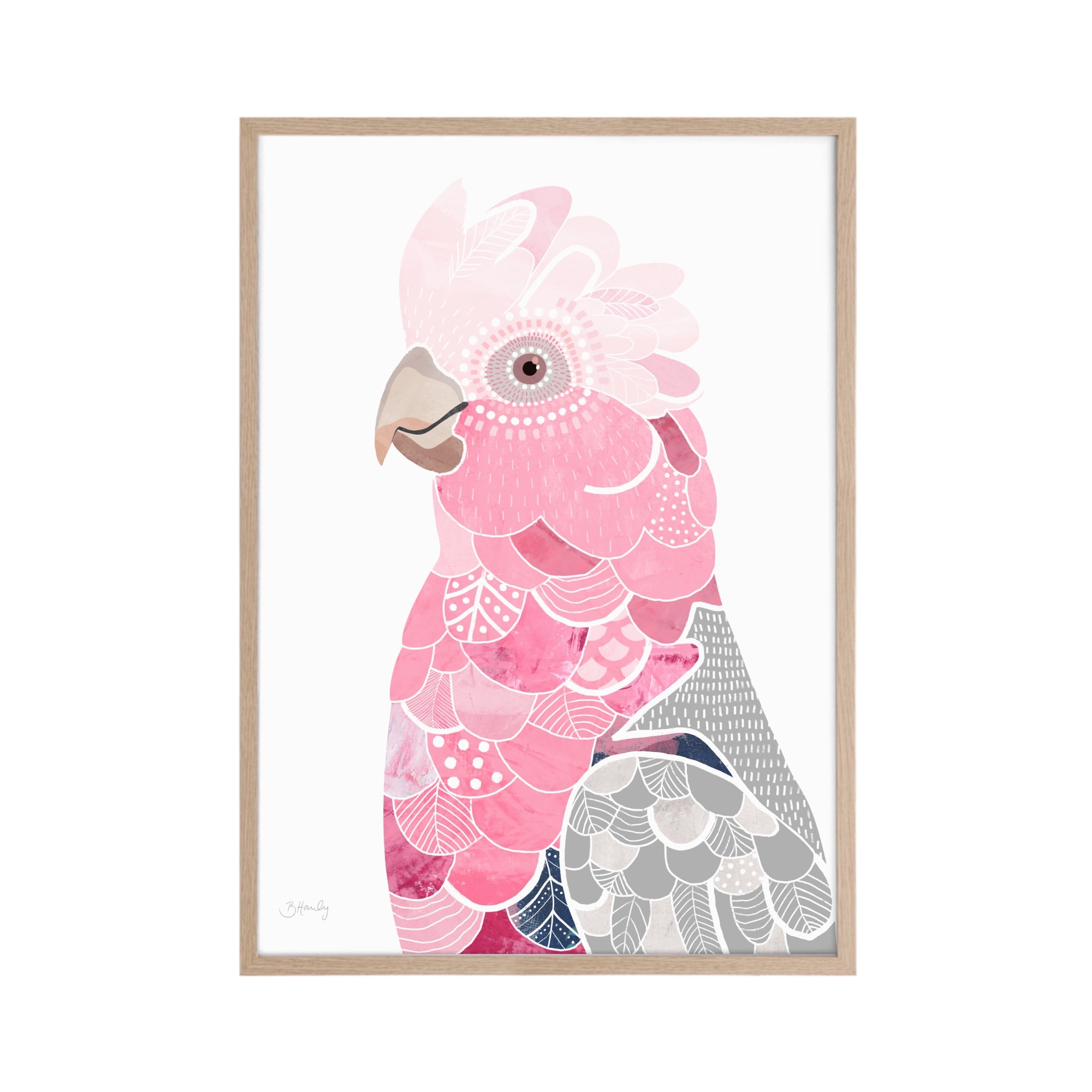 Galah Print, Parrot Wall Art, Galah Painting, Australian Native Bird ...