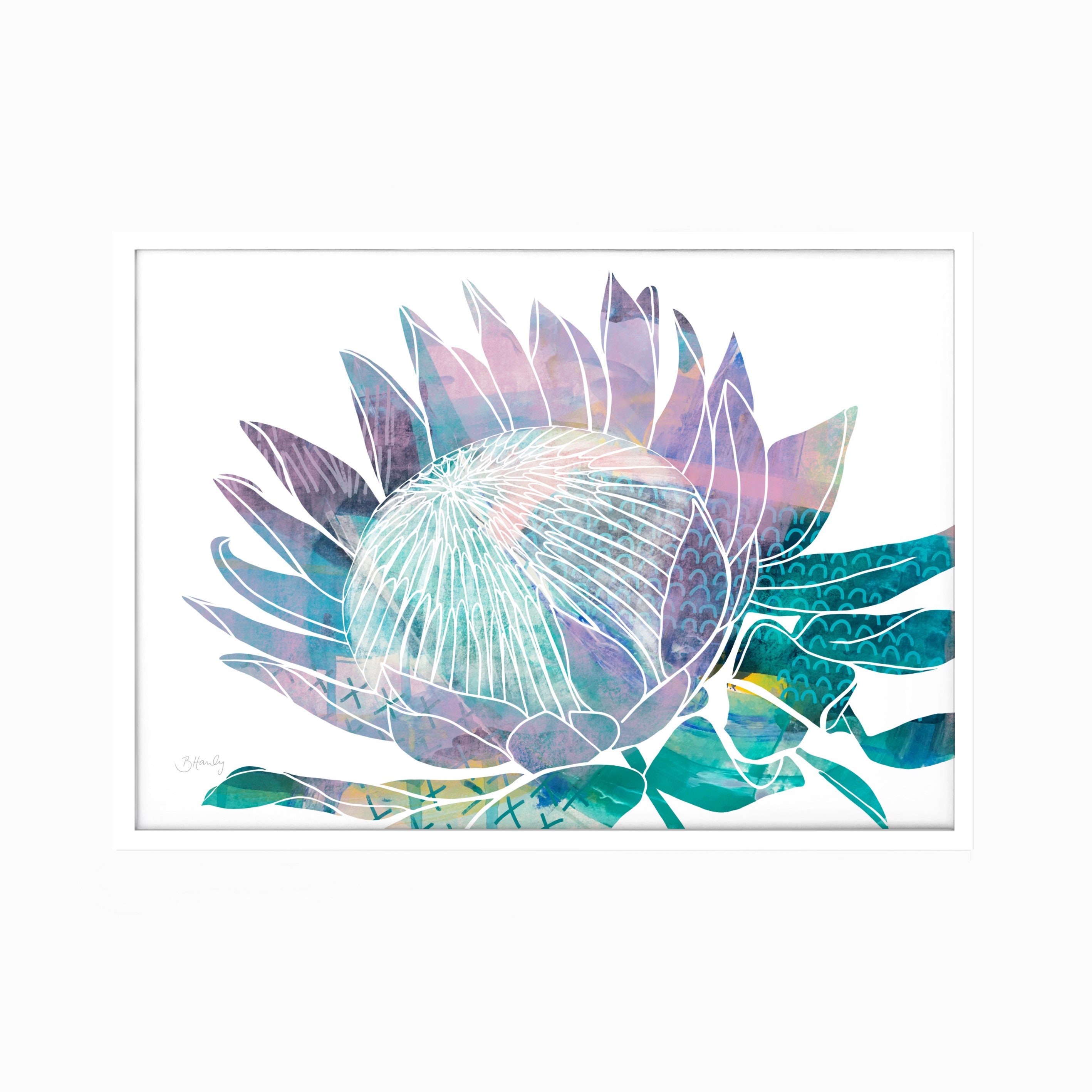 King Protea Art, Protea, Protea Print, Protea Painting, Botanical ...