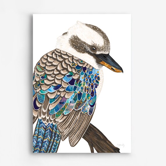 Australian Animals Kookaburra