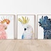 Australian Native Bird Print Set of 3,colourful Bird Decor, Bird Art ...