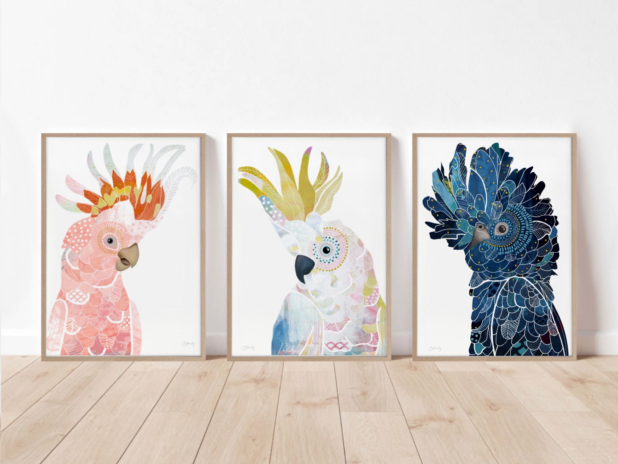 Australian Native Bird Print Set of 3,colourful Bird Decor, Bird Art ...
