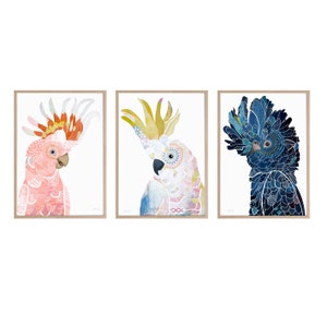 Australian Native Bird Print Set of 3,colourful Bird Decor, Bird Art ...