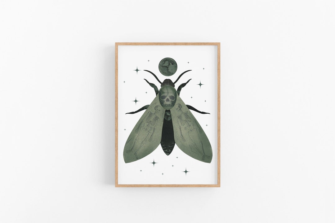 Skeleton Skull Moth Art Print, Gothic Insect Illustration - Etsy