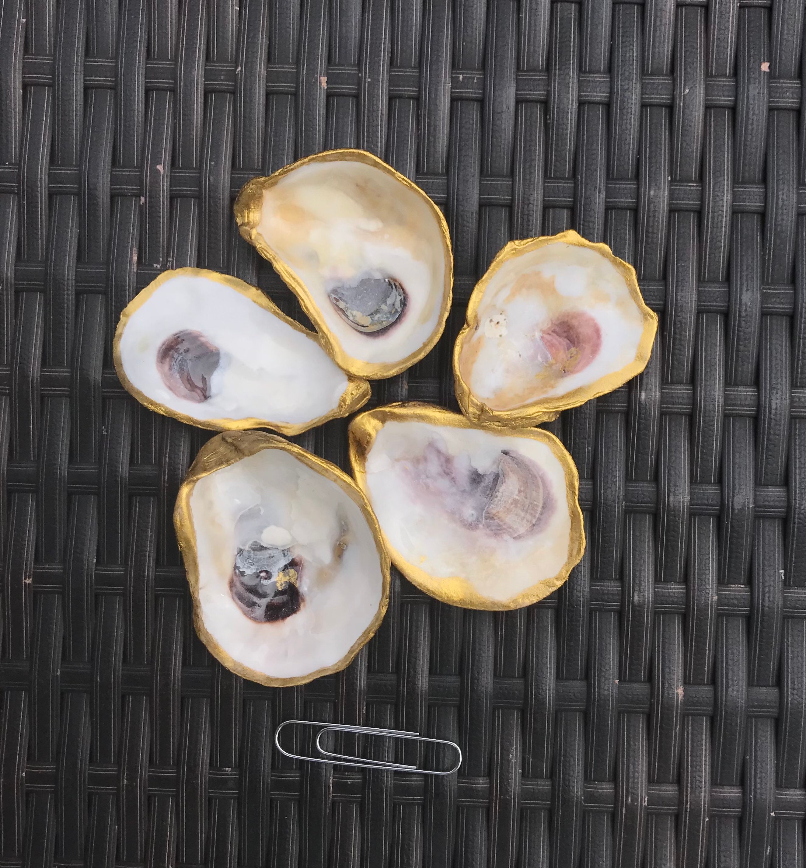 Oyster Shells Hand Painted With Gold Leaf | 1"-2" | New England Shells ...
