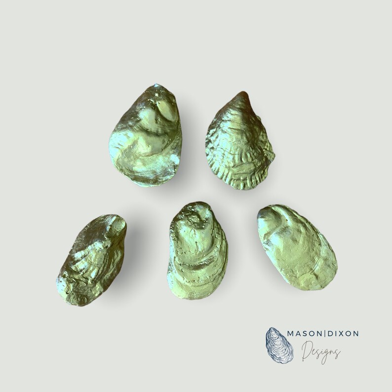 Oyster Shells Hand Painted With Gold Leaf | 3"-4" | New England Shells ...