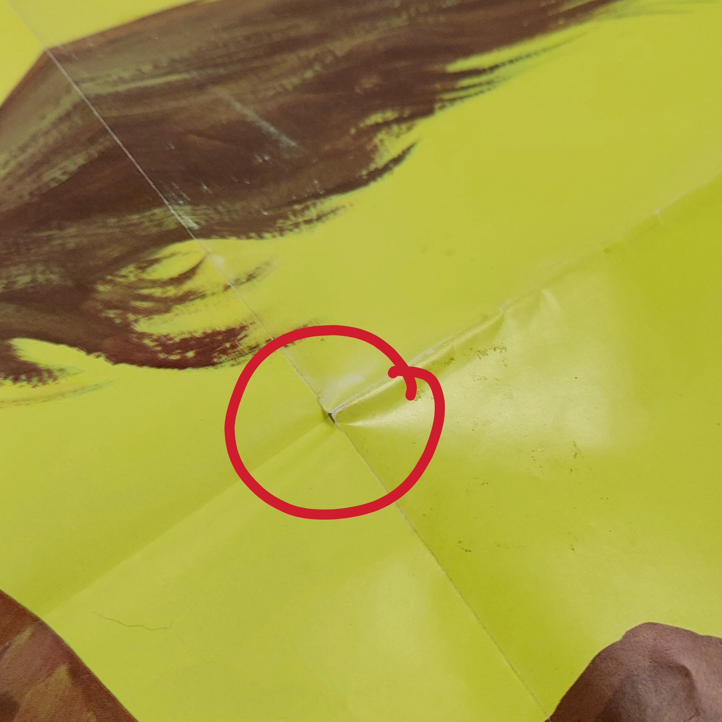 1970s King of the Wind Poster by Scholastic Magazines, 34 X 22 Inches ...