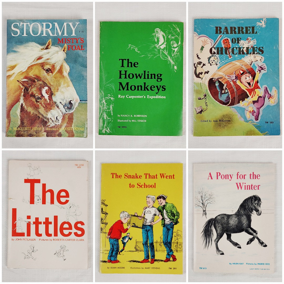 Vintage Elementary School Class Library Starter Kit, Lot 14, 1960s to ...