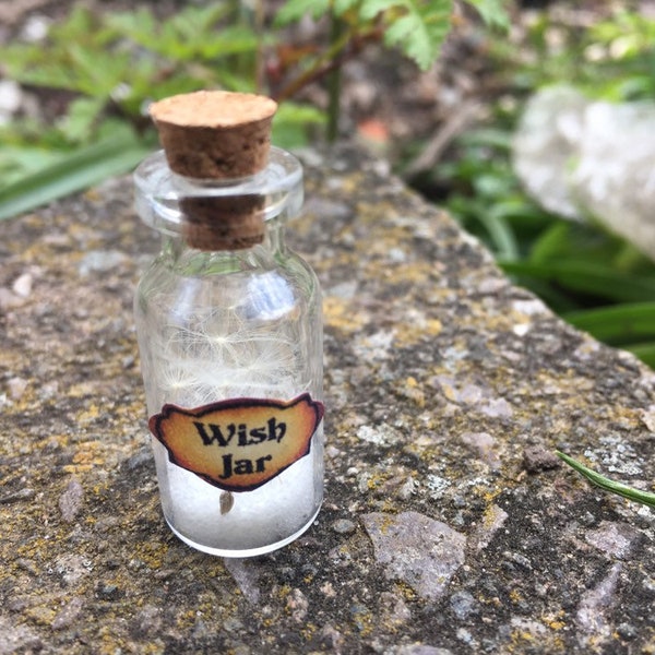 Wish Jar - Etsy