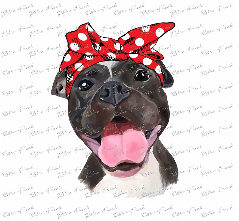 Dog With Bandana Sublimation Designs Downloads PNG Files Dog - Etsy