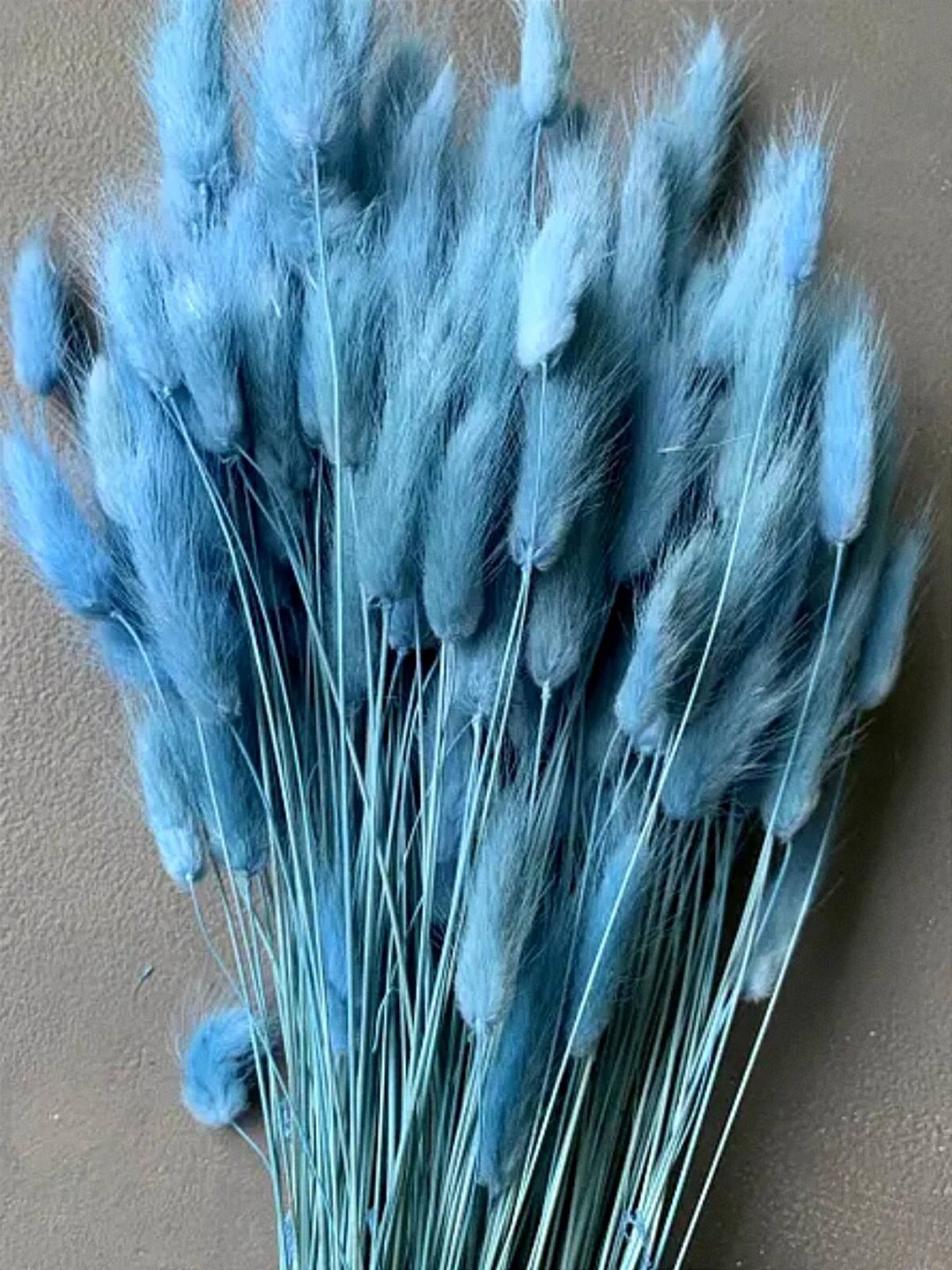 LARGE Bunny Tails Bunch 150PS, Neon Pink Tone, Natural Lagurus Gorgeous Pink Vibrant Dried Grass ...