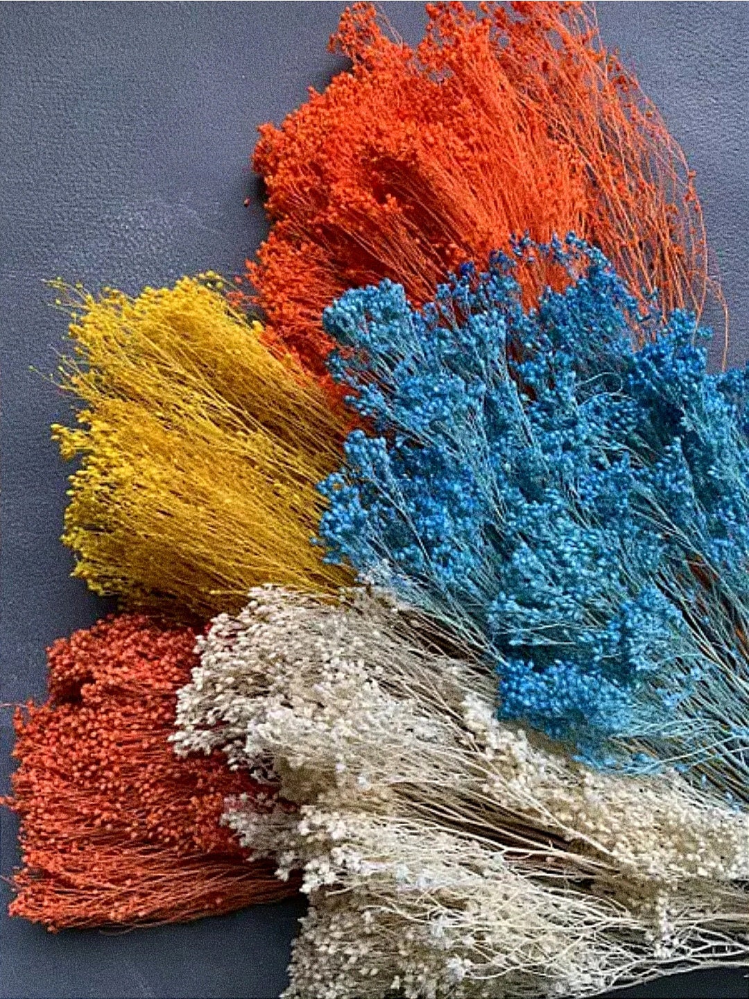 Preserved Dried Broom Bloom, Natural Brumellia Bunch for Decor, Unique ...