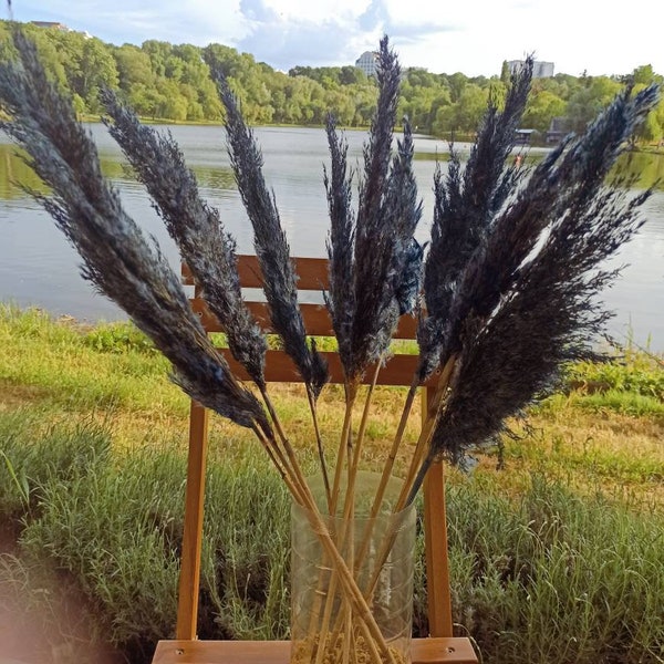 Dried Reeds - Etsy