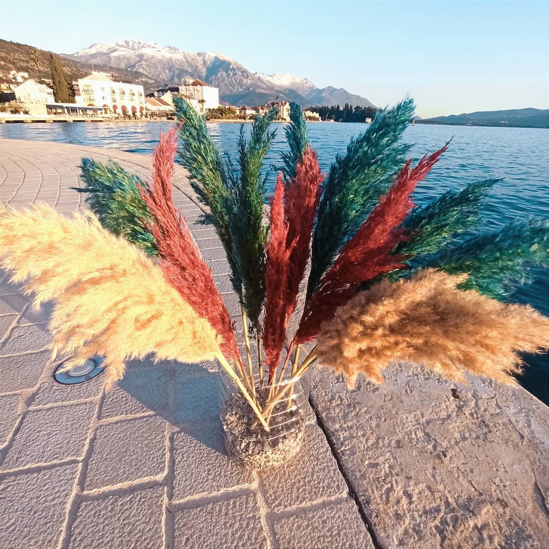 LUX Mix Pampas Grass, Holiday Decor, Patina-bordo-beige Color, Dried ...