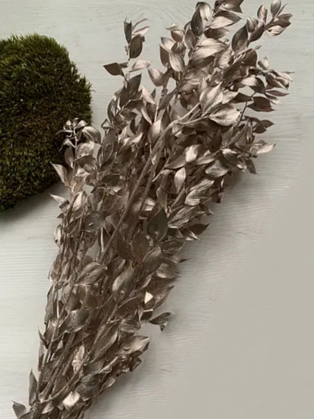 Pink Gold Dried Ruscus Branches: Champagne Tone Floral Decor - Etsy
