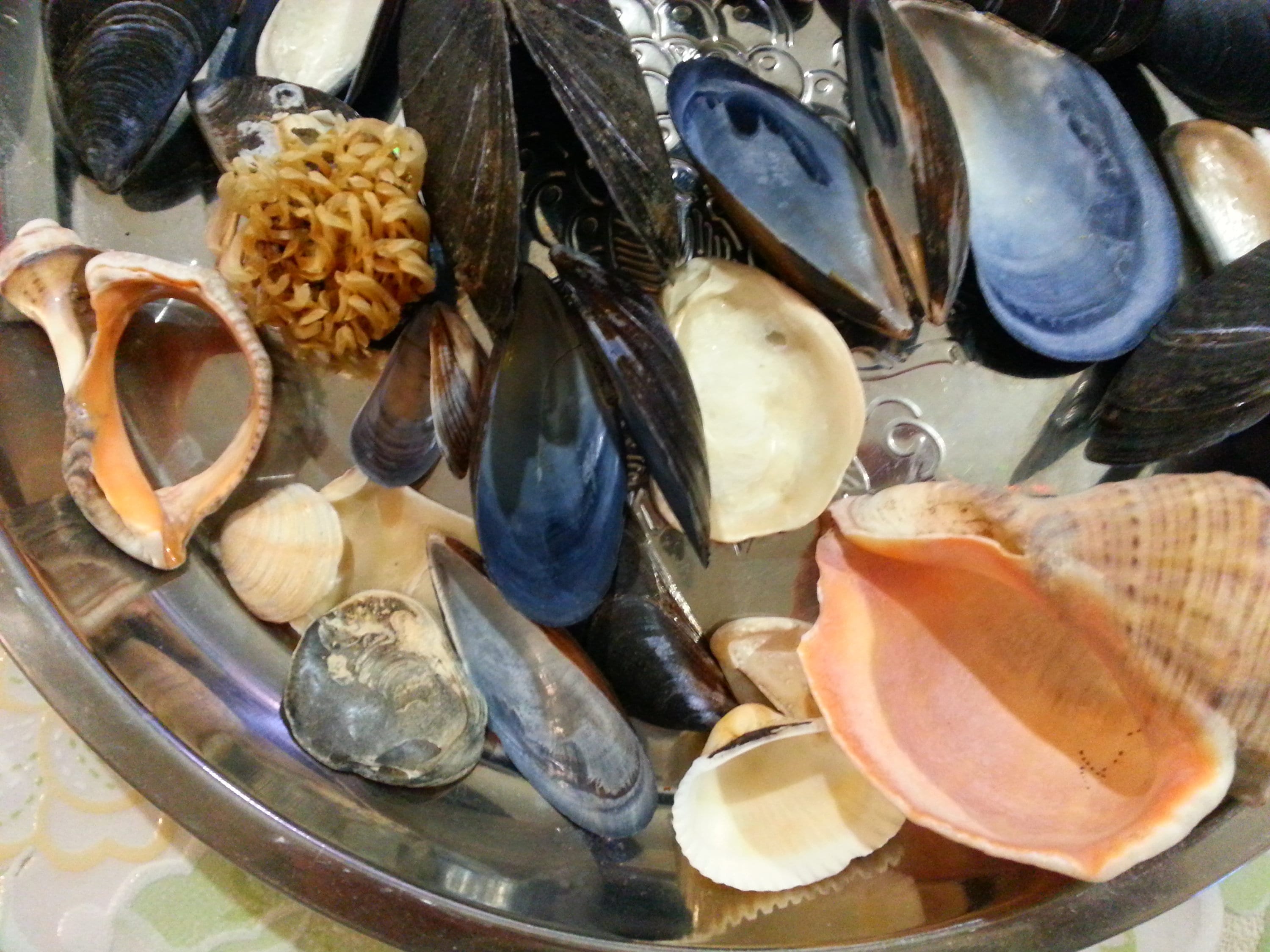 SHELLS BLACK/Mix Shells/Sea Shells/Black Sea Shells/Rare | Etsy