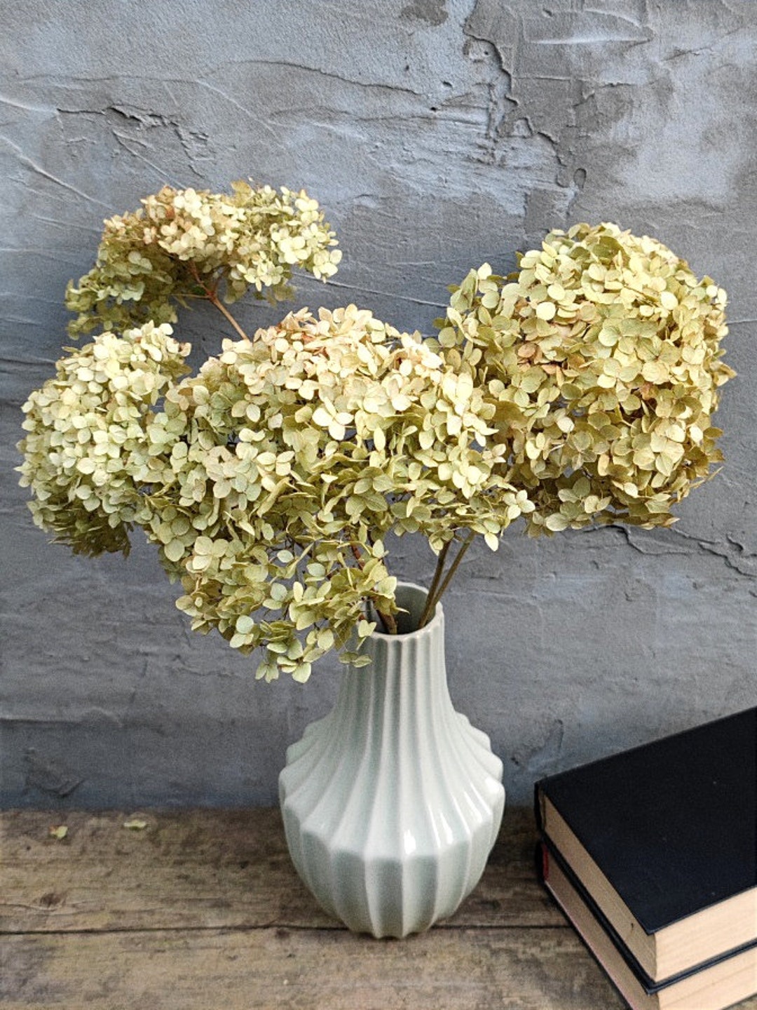 5 Stem Dried Hydrangea Microphylla: Light Green Boho Floral Decor - Etsy