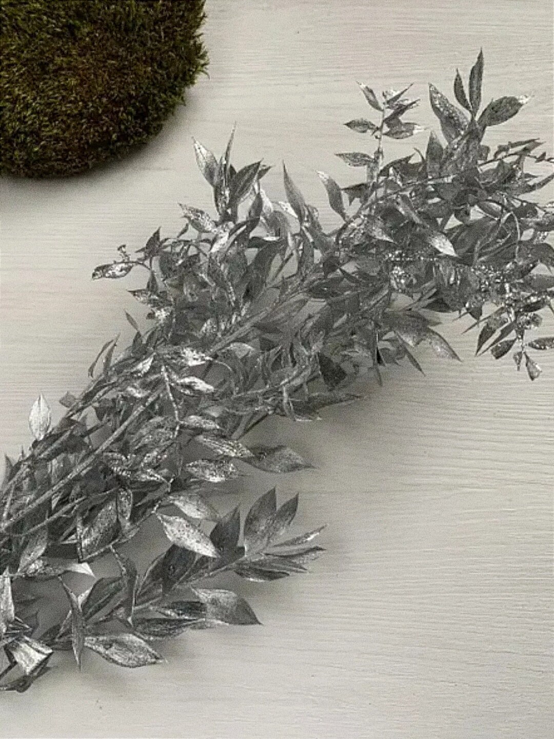 Dried Ruscus 3 Branch, Silver Colour, Silver Ruscus for Room Decor ...