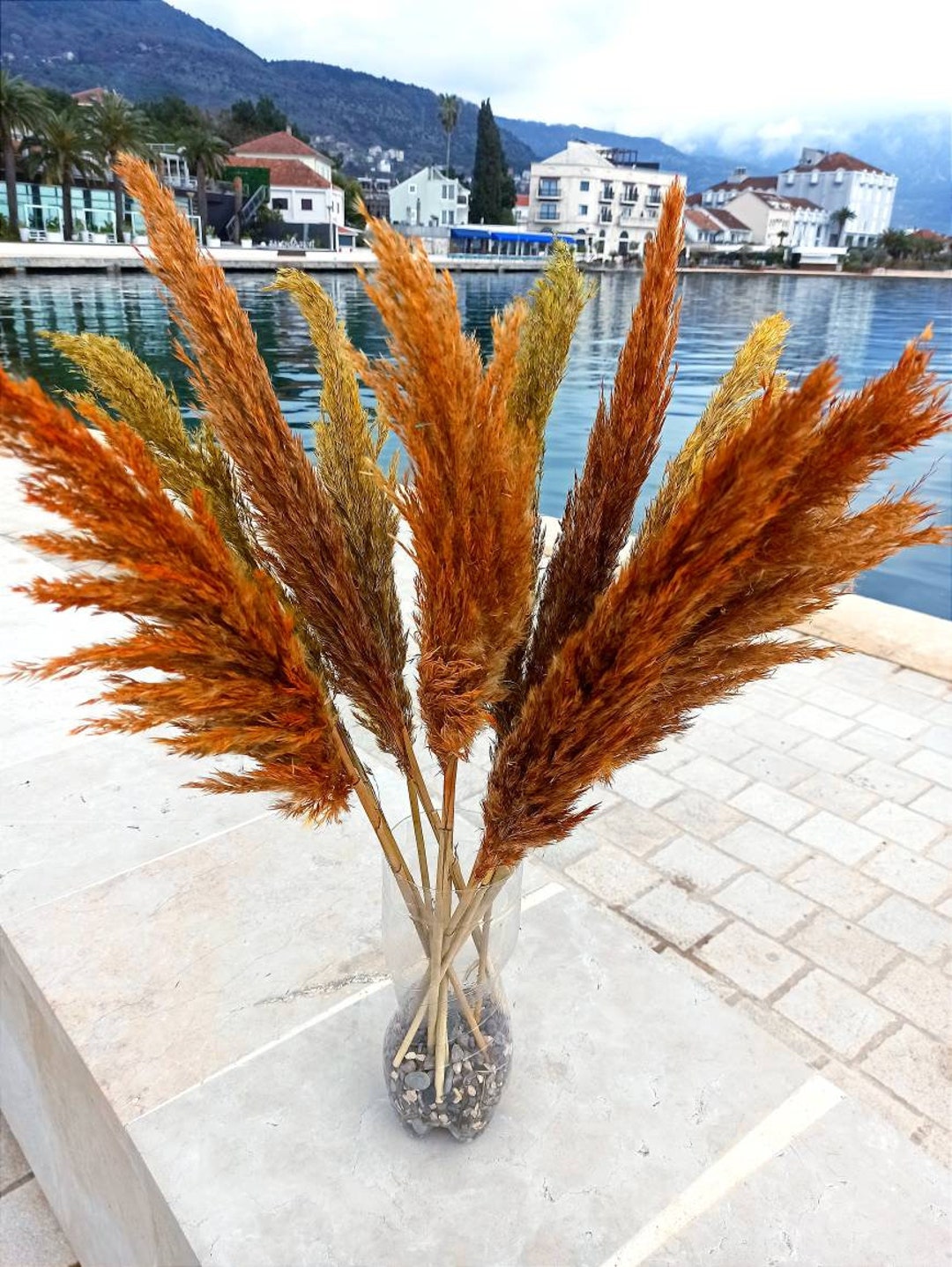 12 GOLD MIX Pampas Grass 40" Yellow Flowers, Natural Pampass, Yellow ...