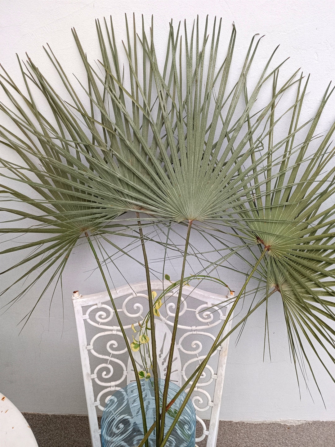 NATURAL DRIED PALM Leaves 3 Stems, Organic Fan Palm Left, Dry Palms for ...