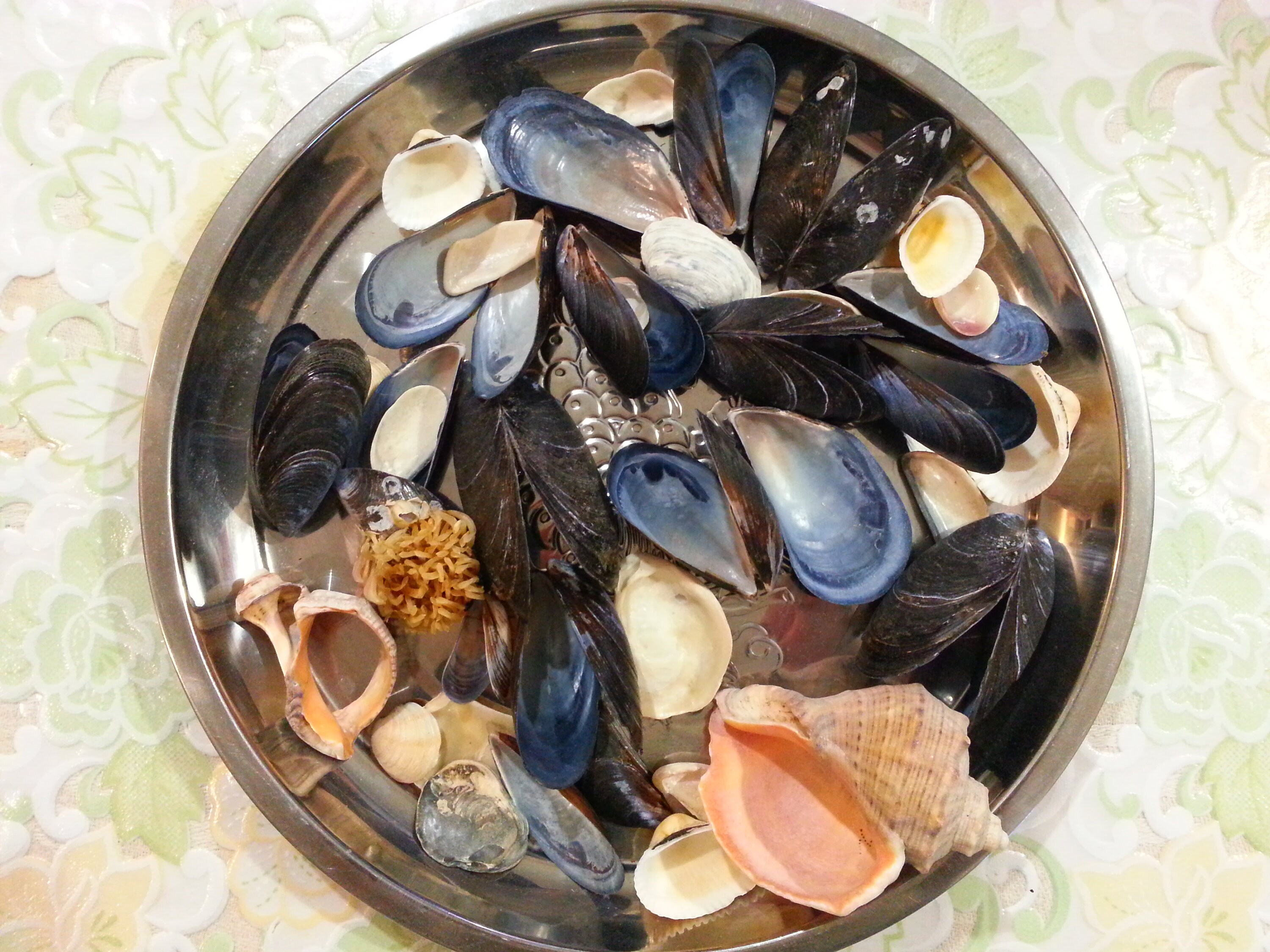 SHELLS BLACK/Mix Shells/Sea Shells/Black Sea Shells/Rare | Etsy