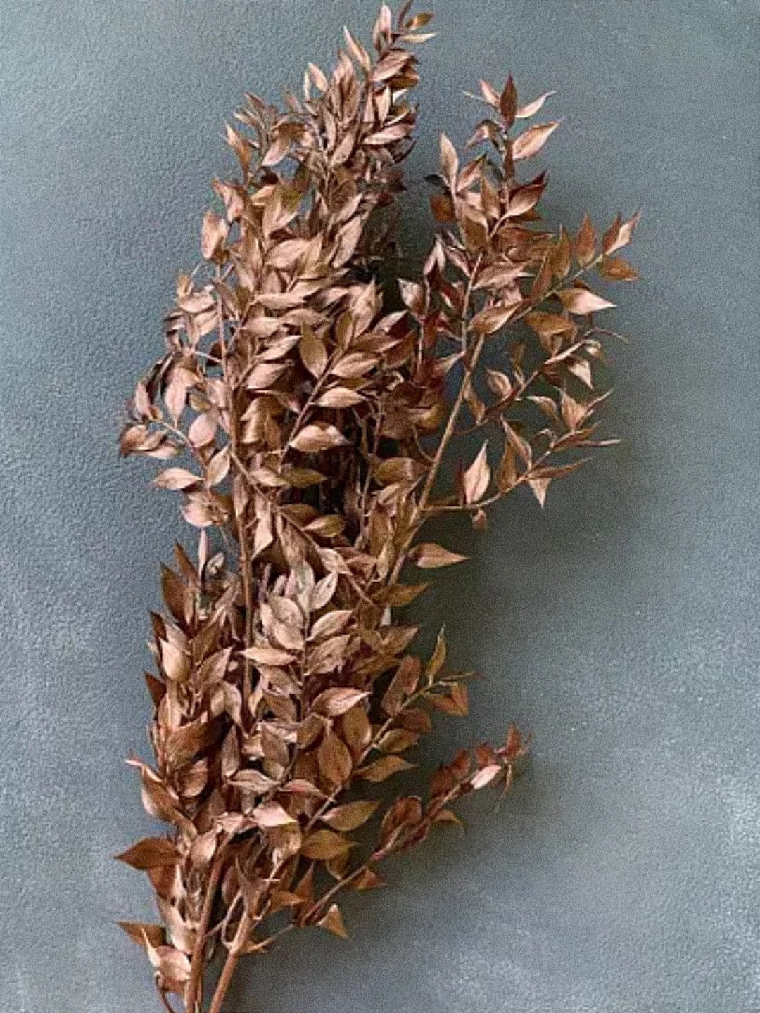 Bronze Dried Ruscus Branches: Gold Christmas Floral Decor - Etsy