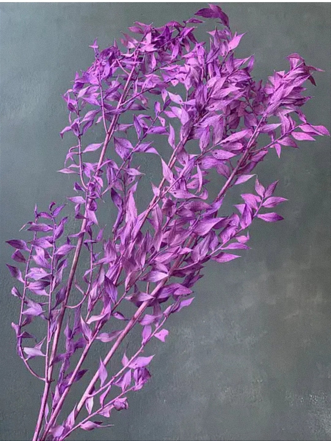 Dried Lilac Ruscus Branches: Boho Wedding Table Vase Filler - Etsy