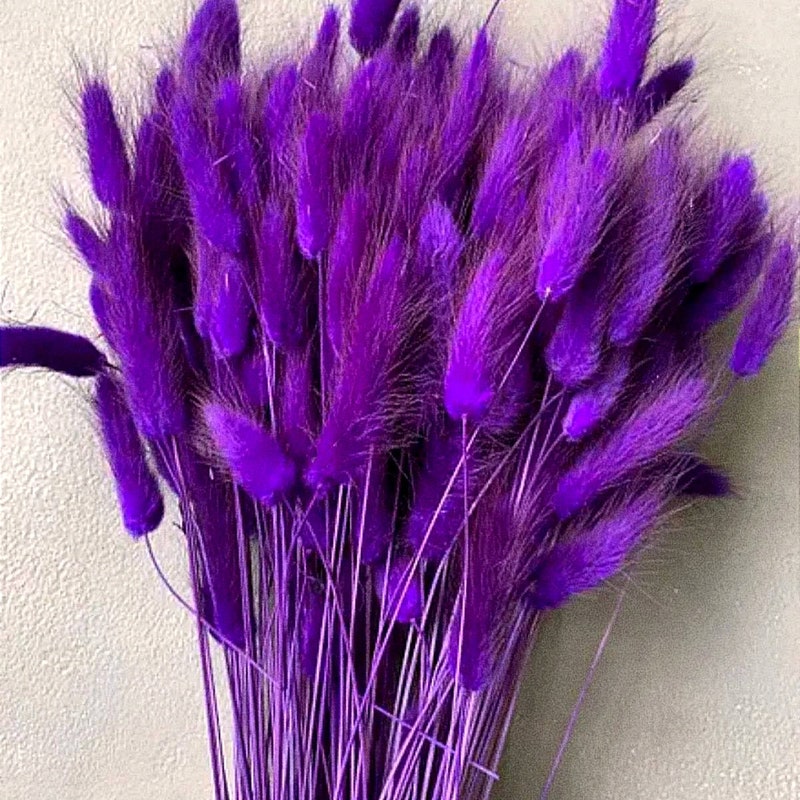 Bunny Tails - Etsy