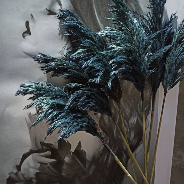 Dried Reeds - Etsy