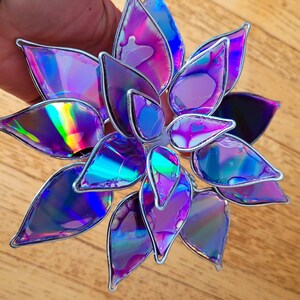 Rainbow Casting Garden Succulent Made From Recycled Discs and Wire - Etsy