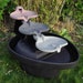 Garden Fountain Water Feature of a Flowform Cascade "emerson-mini" in a ...