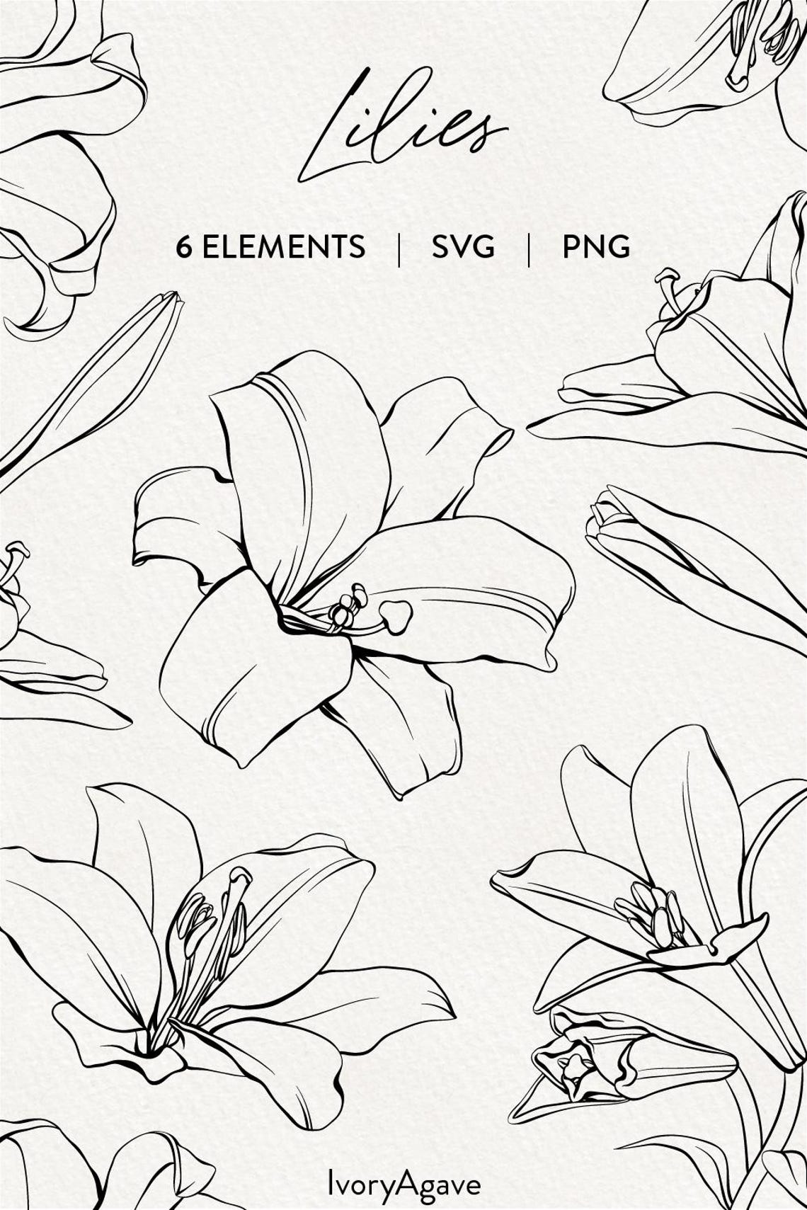 Easter Lily Flowers Line Art Clipart Modern Spring Easter Florals Hand ...
