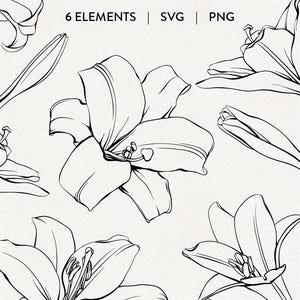 Easter Lily Flowers Line Art Clipart Modern Spring Easter Florals Hand ...
