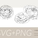 Ranunculus Line Art Clipart | Botanical Flower Hand Drawn Illustration ...