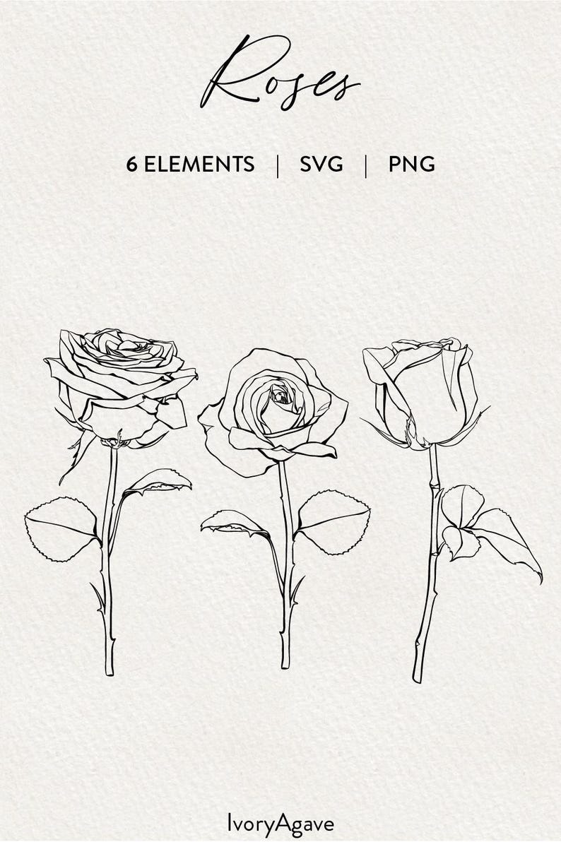 Valentine Rose With Stem Line Art Clipart Botanical Flower Hand Drawn ...