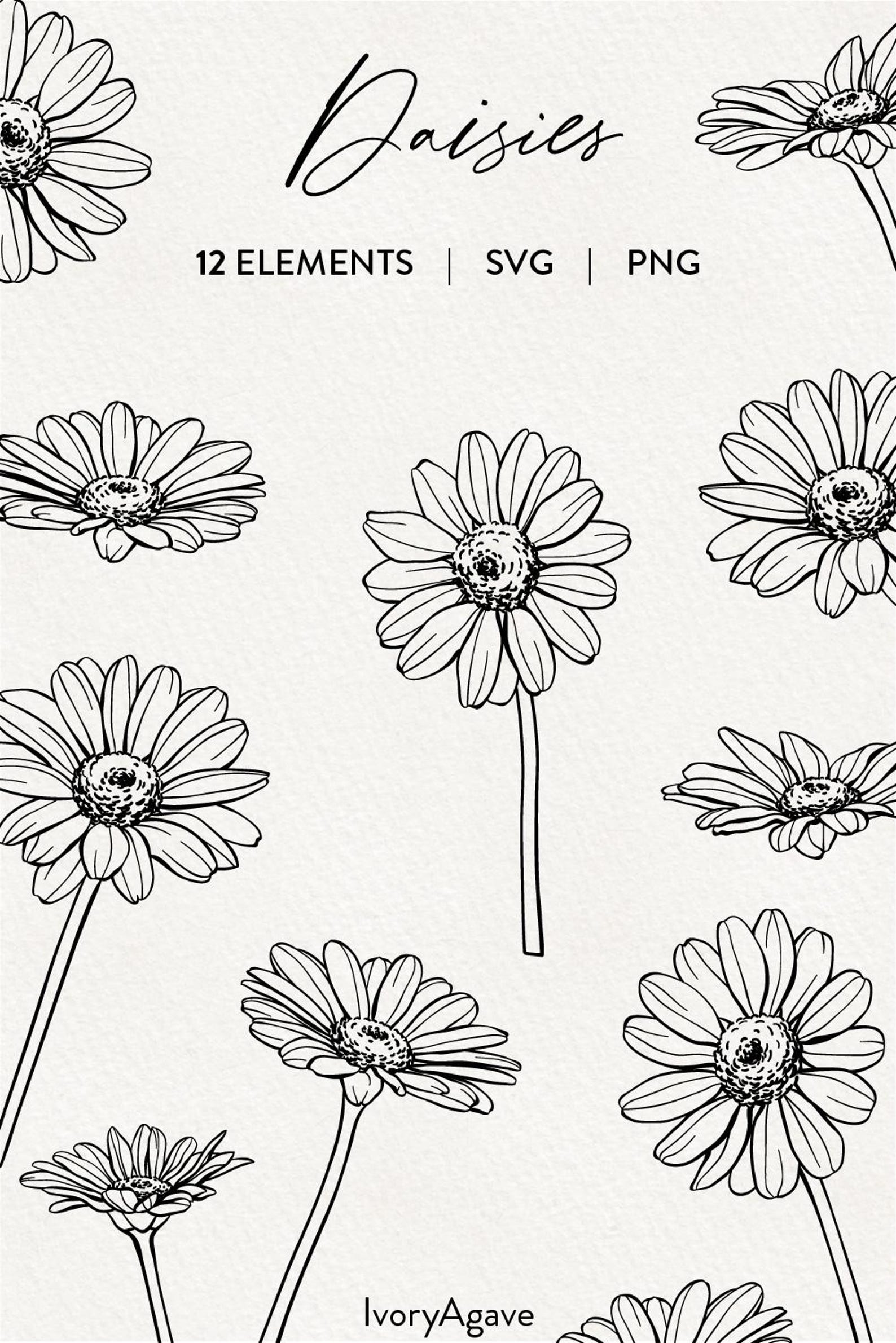 Daisy Flowers Line Art Clipart Modern Spring Easter Florals Hand Drawn ...