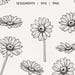 Daisy Flowers Line Art Clipart Modern Spring Easter Florals Hand Drawn ...