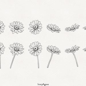 Daisy Flowers Line Art Clipart Modern Spring Easter Florals Hand Drawn ...