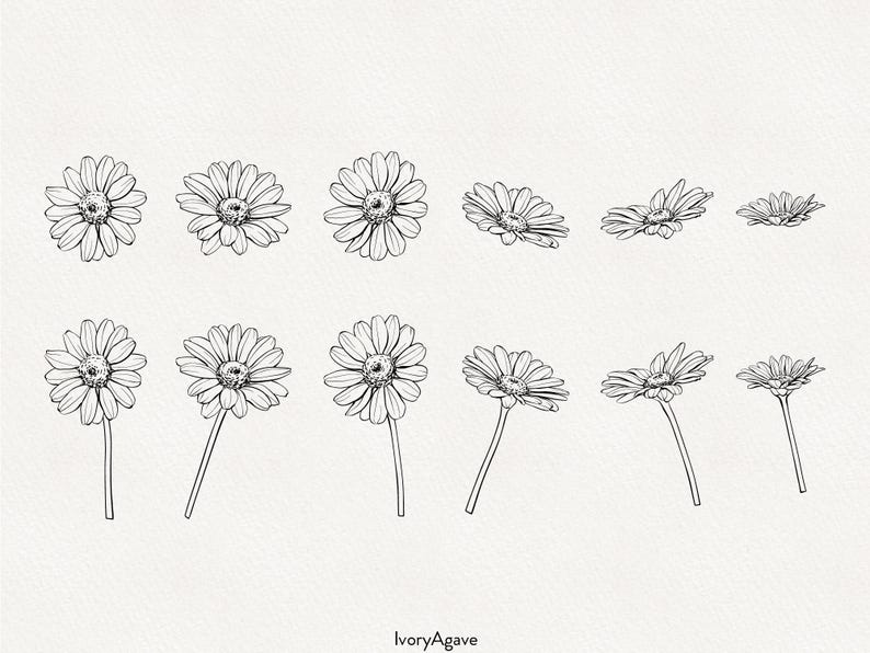 Daisy Flowers Line Art Clipart Modern Spring Easter Florals Hand Drawn ...