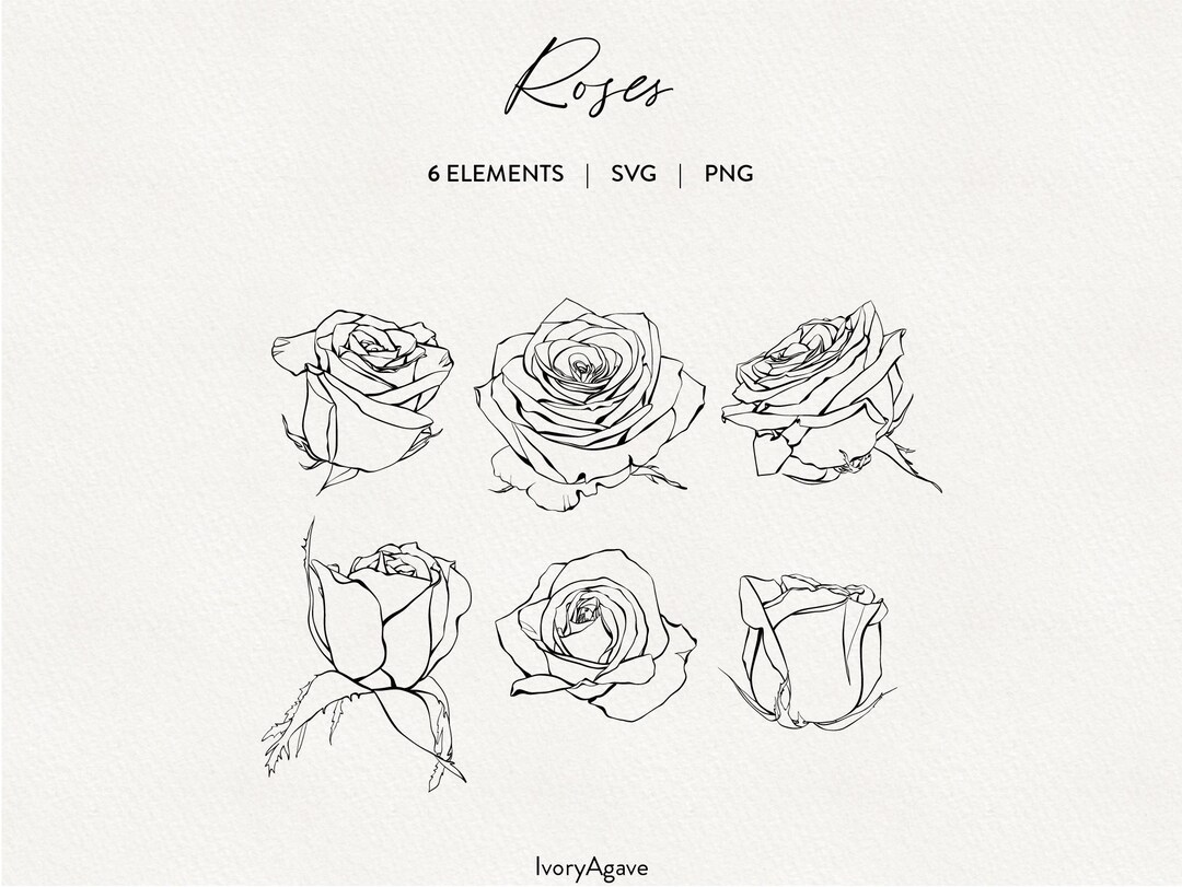 Valentine Rose Line Art Clipart Botanical Flower Hand Drawn ...