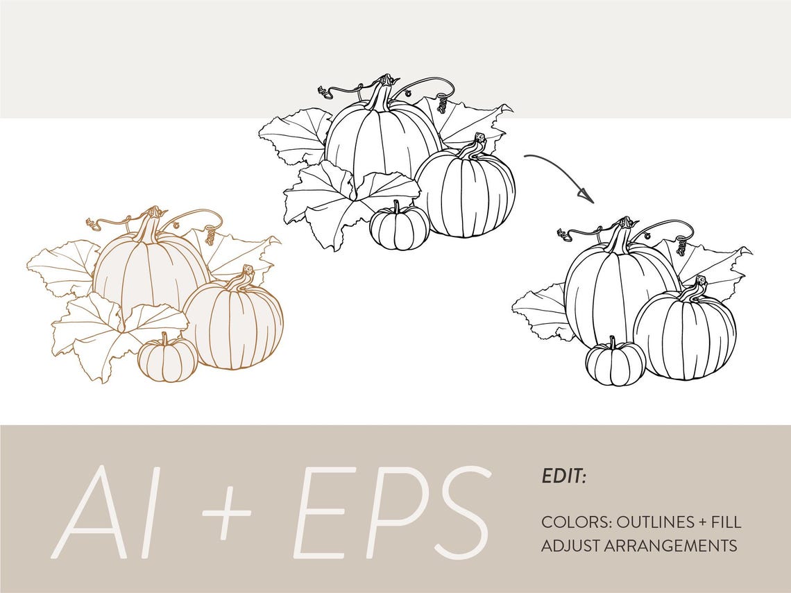 Fall Pumpkin Patch Line Art Clipart | Autumn Pumpkins Vines Leaves Hand ...