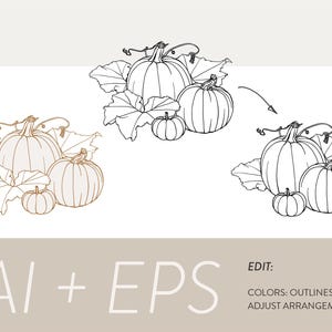 Fall Pumpkin Patch Line Art Clipart | Autumn Pumpkins Vines Leaves Hand ...