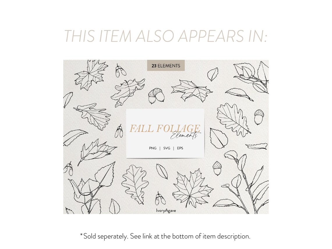 Fall Foliage Maple Leaves Line Art Clipart | Hand Drawn Vector | Fine ...