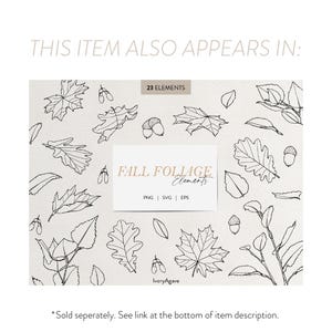 Fall Foliage Maple Leaves Line Art Clipart | Hand Drawn Vector | Fine ...